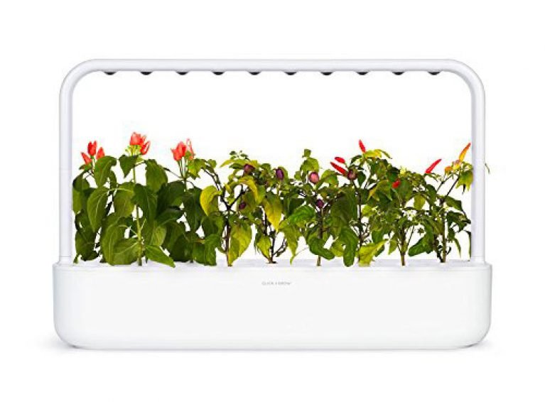Click and Grow: Il Sistema più Innovativo e Affidabile per la ...